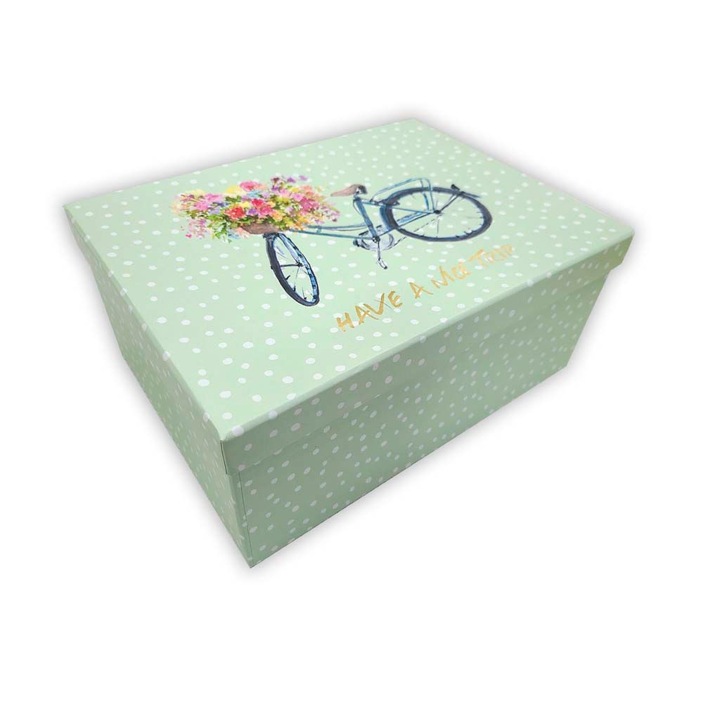 CAJA DE CARTON RECTANGULAR D2 L