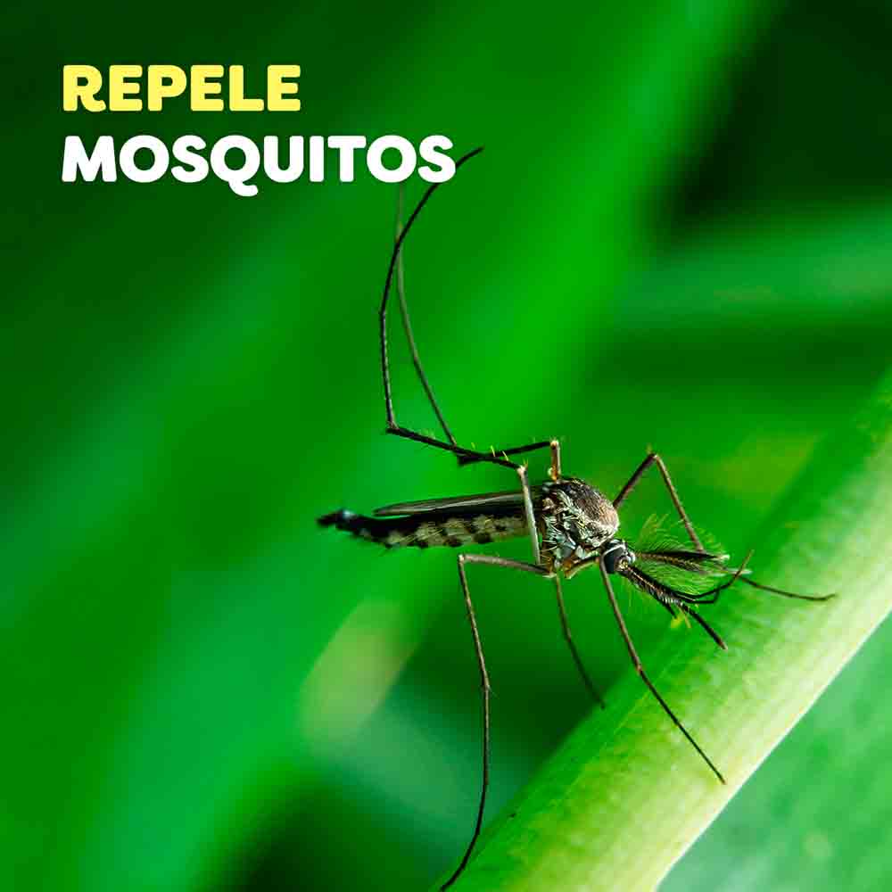 REPELENTE PARA MOSQUITOS OFF! EXTRA DURACIÓN SPRAY 177ML - Vea