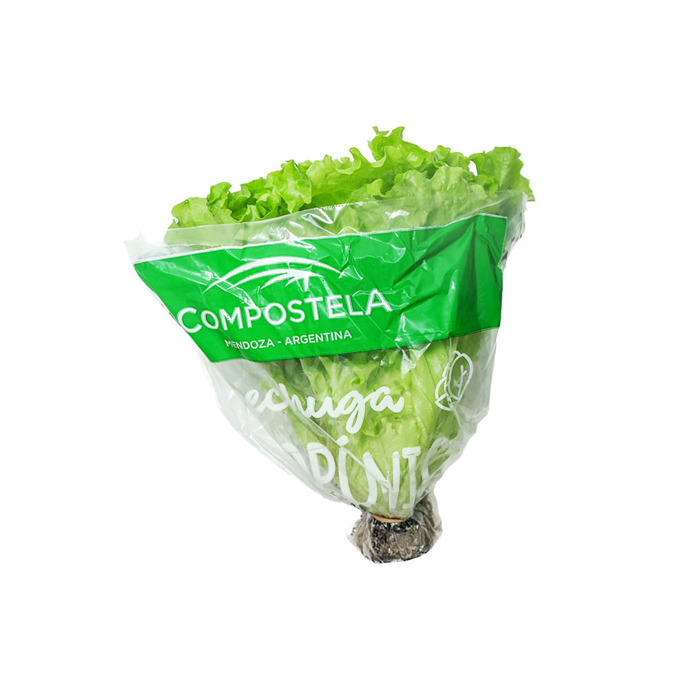 Lechuga Francesa Hidro - Disco